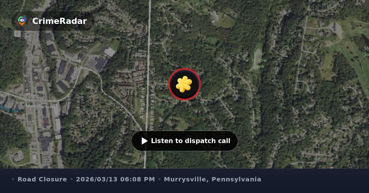 Tree blocks roadway on Logan Ferry Road, Murrysville PA | CrimeRadar