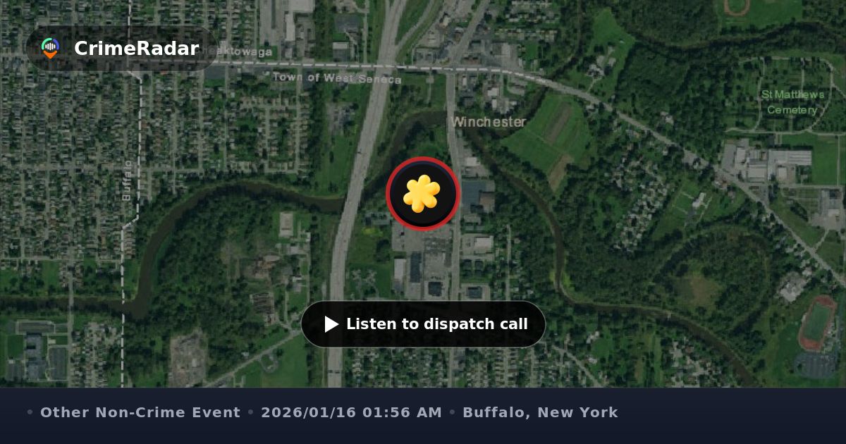 Low-hanging wire found behind business on Harlem Rd, Buffalo NY ...