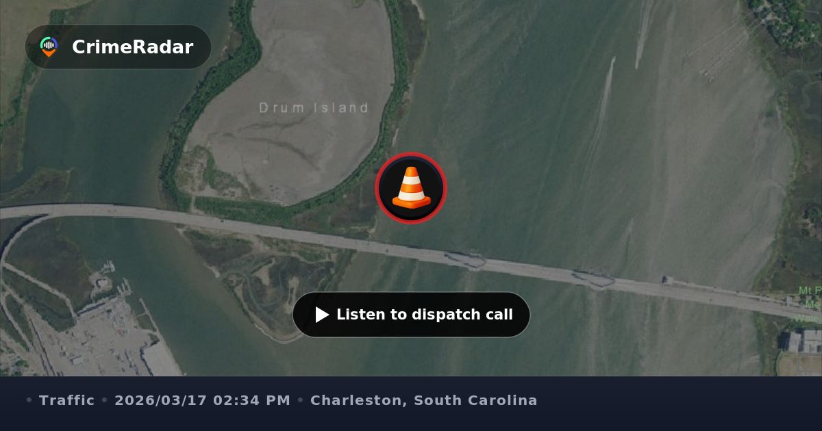 Multi-vehicle crash on Arthur Ravenel Jr. Bridge, Charleston County SC ...