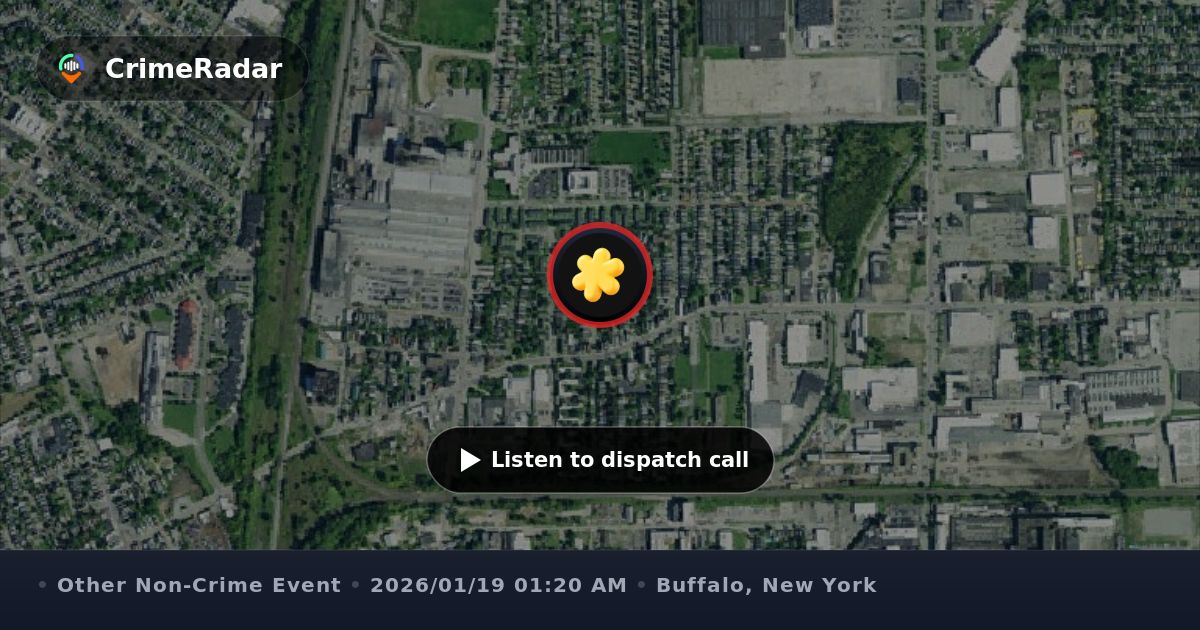 Loose dog reported at police station near Hertel Ave, Buffalo NY ...