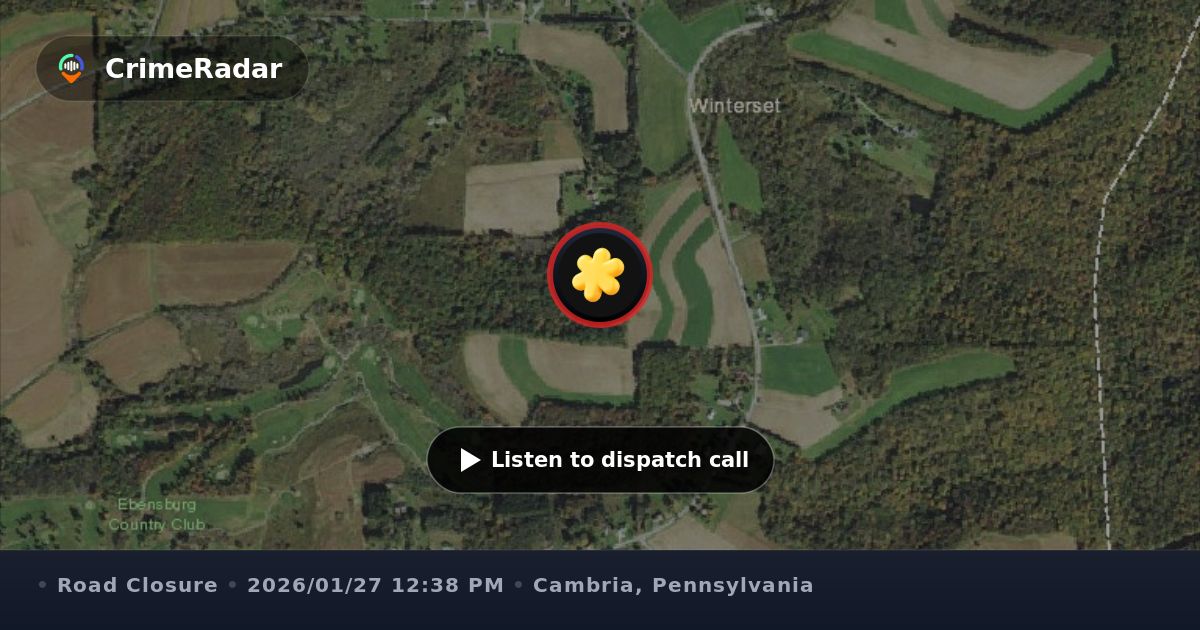 Small trees cause partial road obstruction on Manor Dr, Cambria County ...