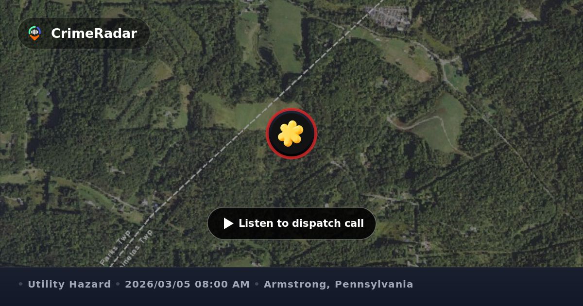 Tree down on utility wires in Kiskiminetas Township, Armstrong County ...