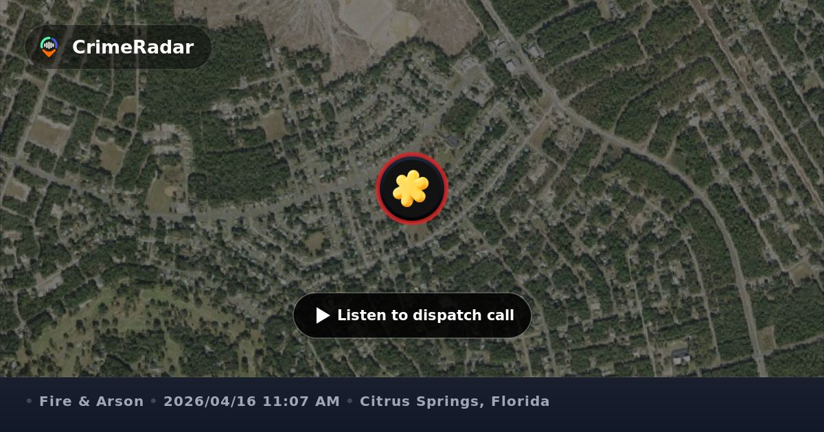 Illegal outdoor burn on West Beach Plum Drive, Citrus Springs FL ...