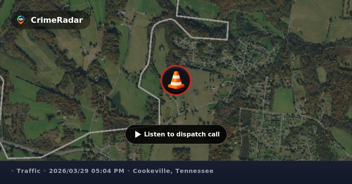 Loose dog sitting in roadway on Shipley Road, Cookeville TN | CrimeRadar