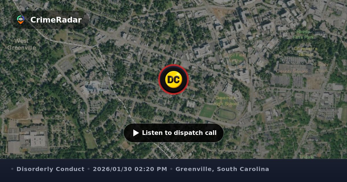 Possible disturbance involving loose dog on Anderson St, Greenville SC ...