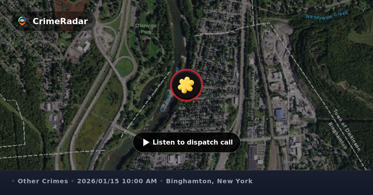 Civil power dispute near Cary St, Binghamton NY | CrimeRadar