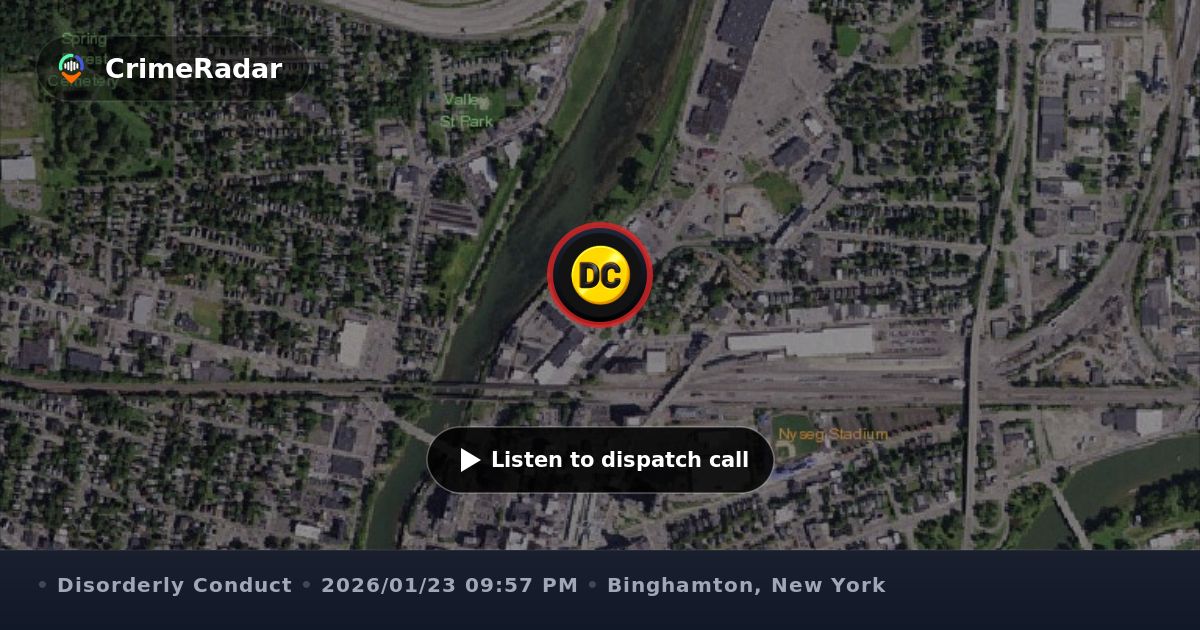 Possible noise disturbance near Washington St, Binghamton NY | CrimeRadar