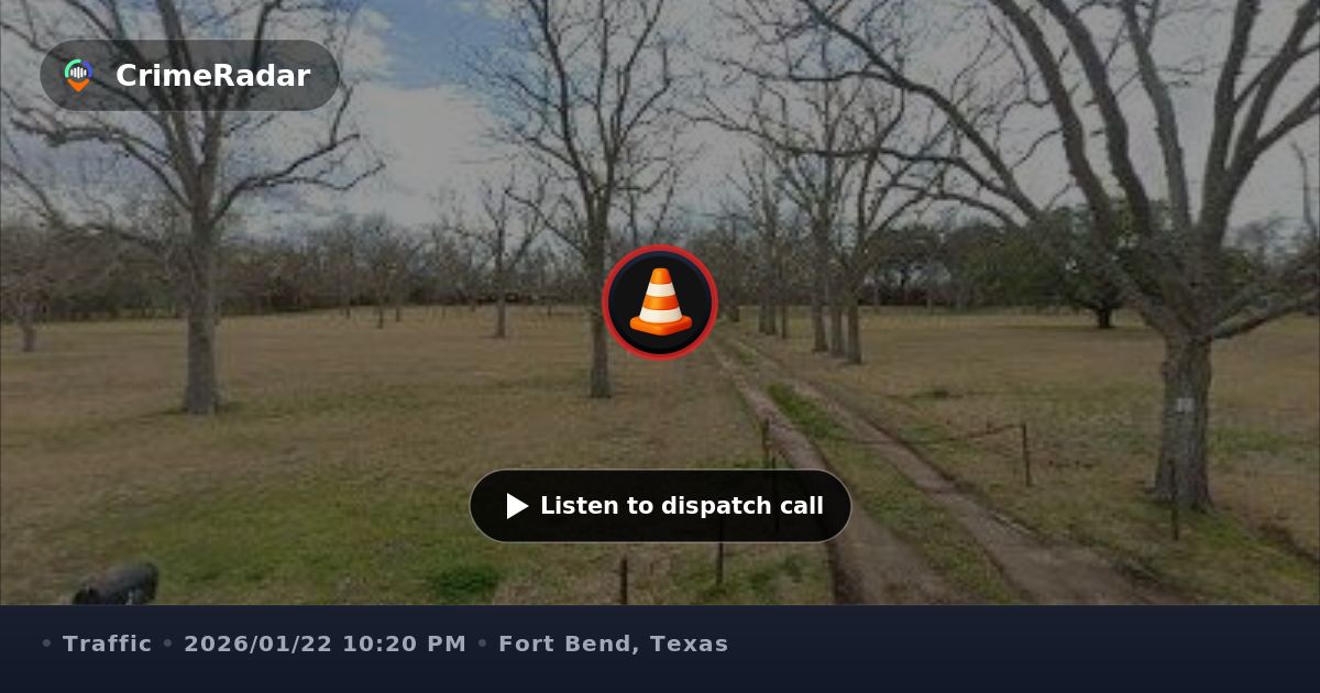 Traffic stop near Sally Ann in Fort Bend County, Fort Bend County TX ...