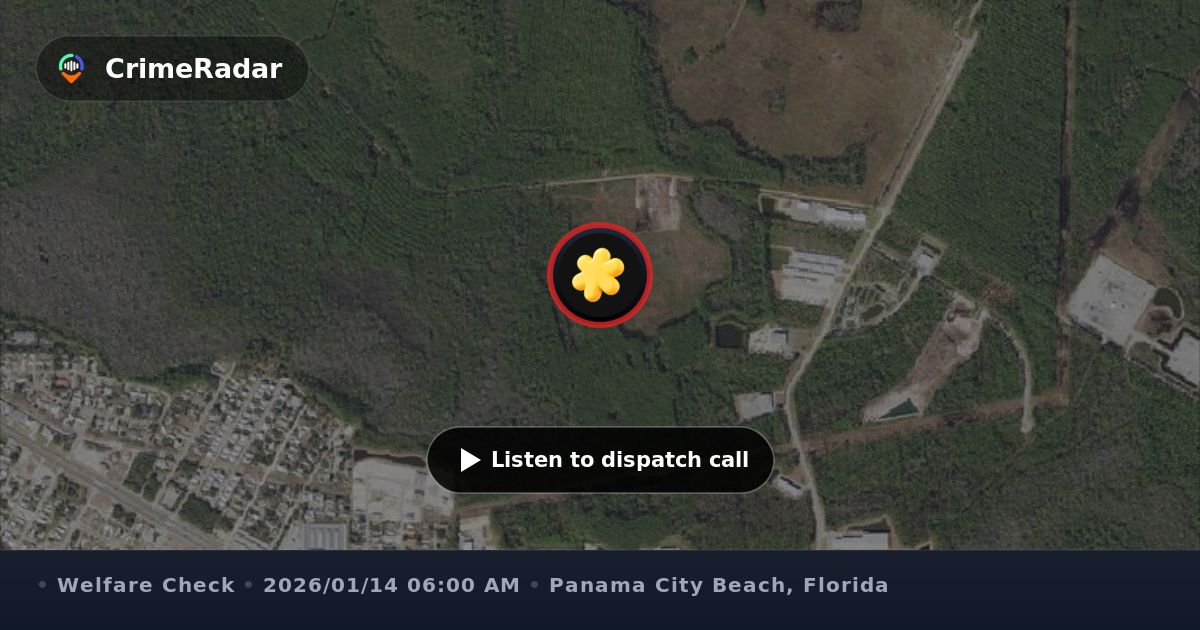 Deputies check on truck driver's welfare at Freedom Market, Panama City ...