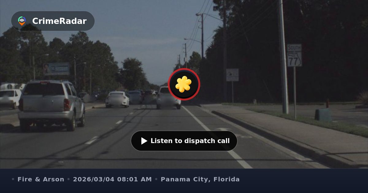 Grass fire reported on Martin Luther King Jr Boulevard, Panama City FL ...