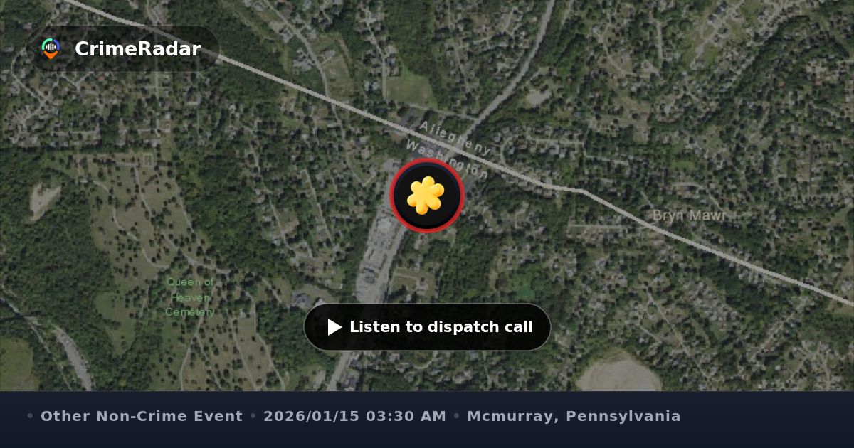 Keys and phone locked in vehicle at Market District, Mcmurray PA ...