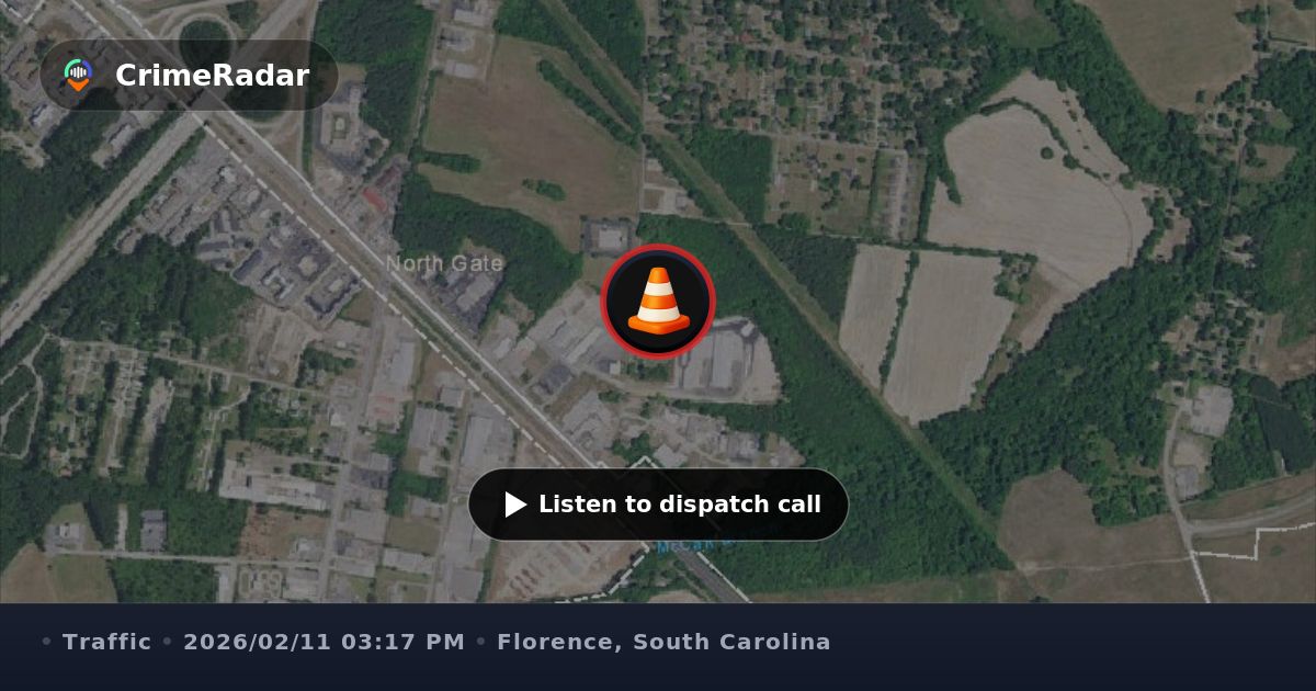 Multi-car crash near I-95 bridge on West Lucas Street, Florence SC ...