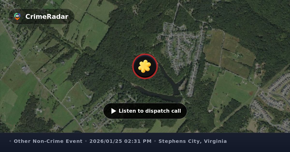 Animal control recovers stray dog near Forest Lake Dr, Stephens City VA ...