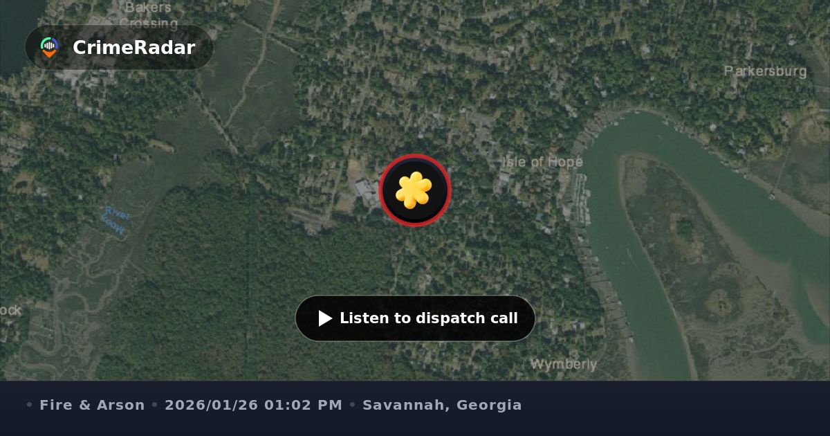 Elevator alarm at Isle of Hope Elementary; crews investigating, nothing ...