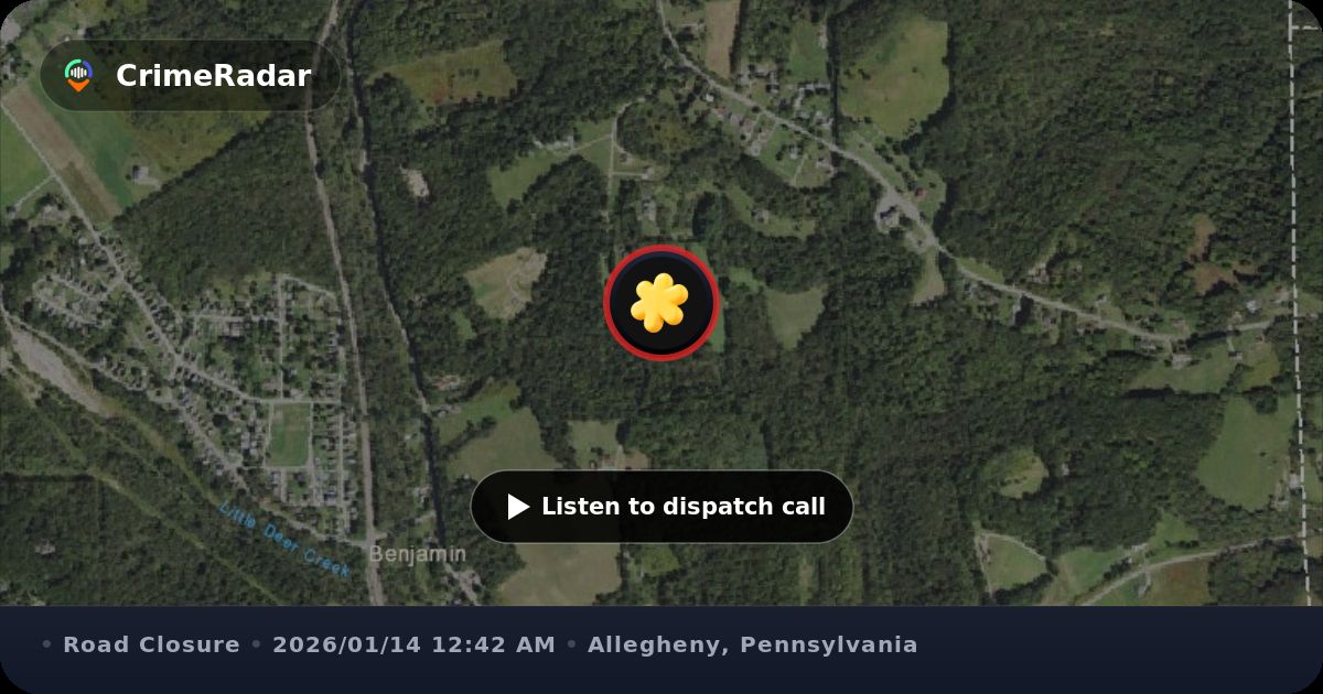 Tree blocks road in West Deer Township, Allegheny County PA | CrimeRadar