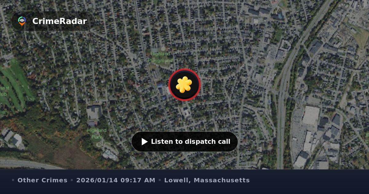 Loose dogs spotted near Stevens and Jenness streets, Lowell MA | CrimeRadar