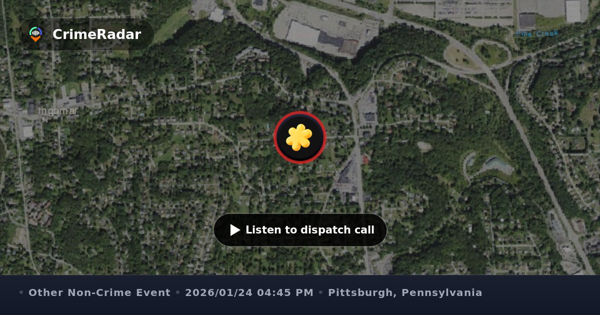 Animal control notified about dead deer near Old Perry Hwy, Pittsburgh ...