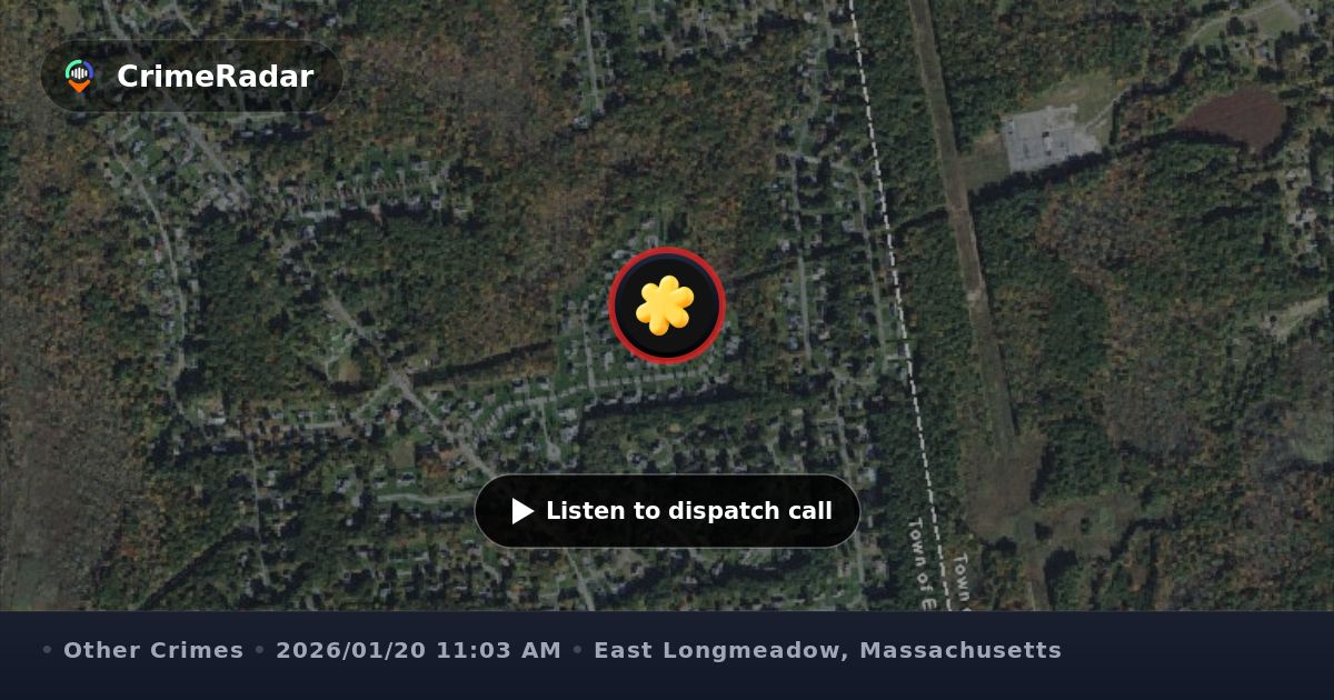 Deputies attempt to serve summons near Angela Ln, East Longmeadow MA ...