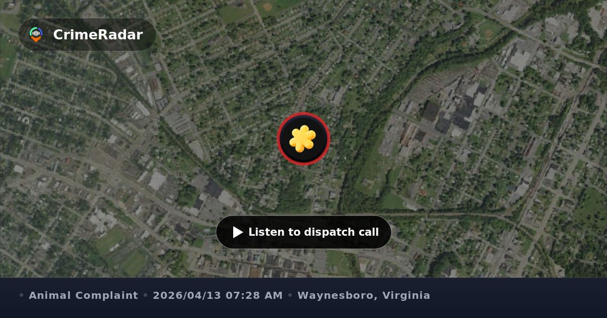 Loose brown dog found in parking lot, Waynesboro VA | CrimeRadar