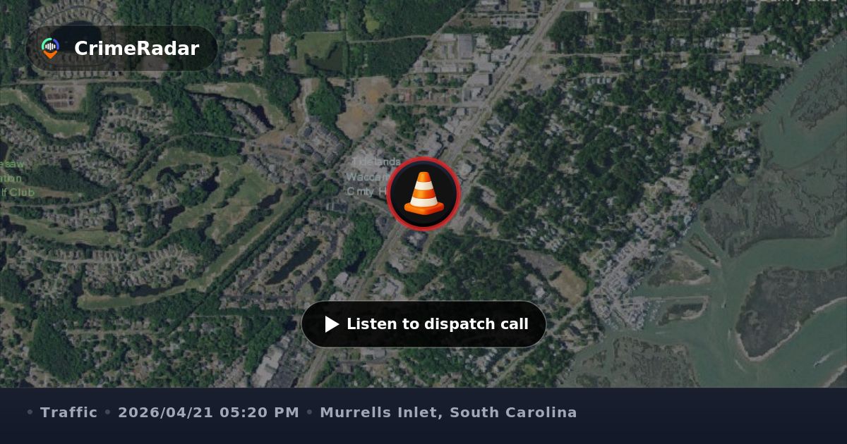 Single-car crash with injury and reported hit and run, Murrells Inlet ...