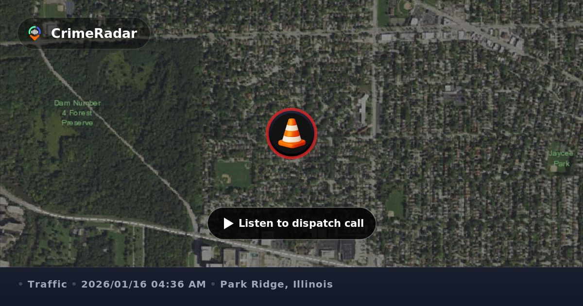 Auto accident near Higgins Rd in Park Ridge, Park Ridge IL | CrimeRadar