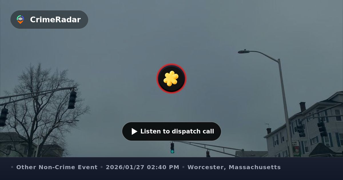 Man with crutches requests cab near Hamilton St, Worcester MA | CrimeRadar