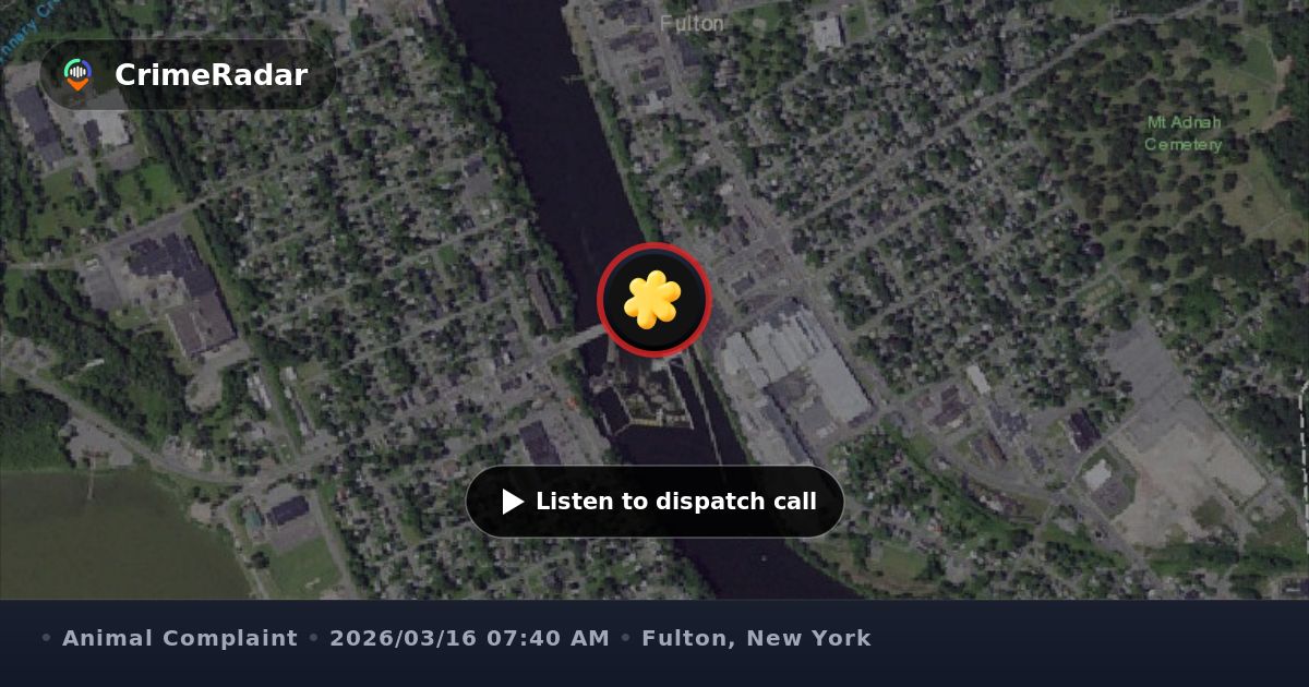 Dead cat found in front yard, possibly hit by car, Fulton NY | CrimeRadar