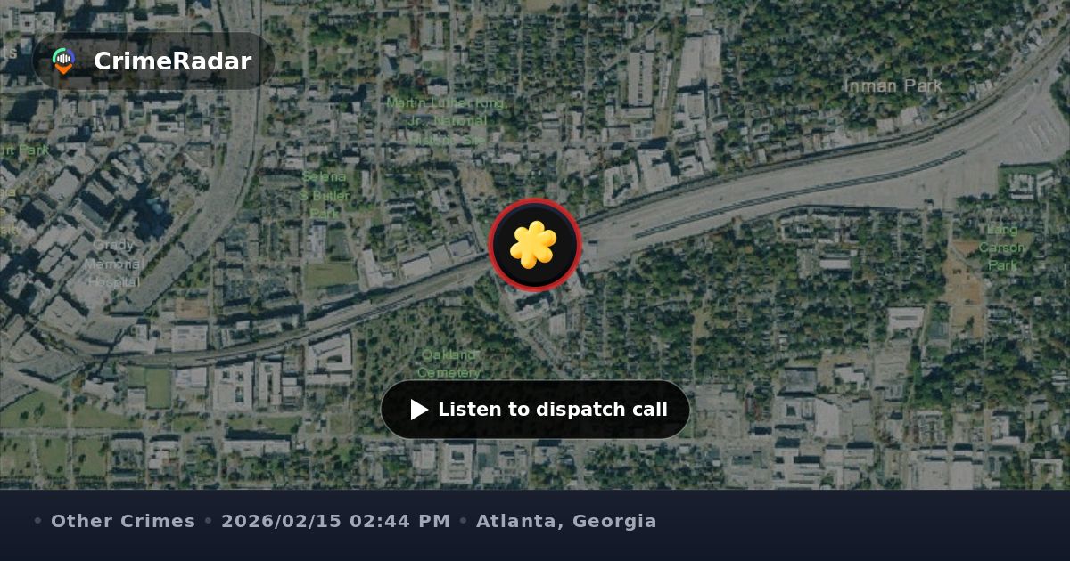 Woman arrested after traffic stop on Reinhardt Street, Atlanta GA ...
