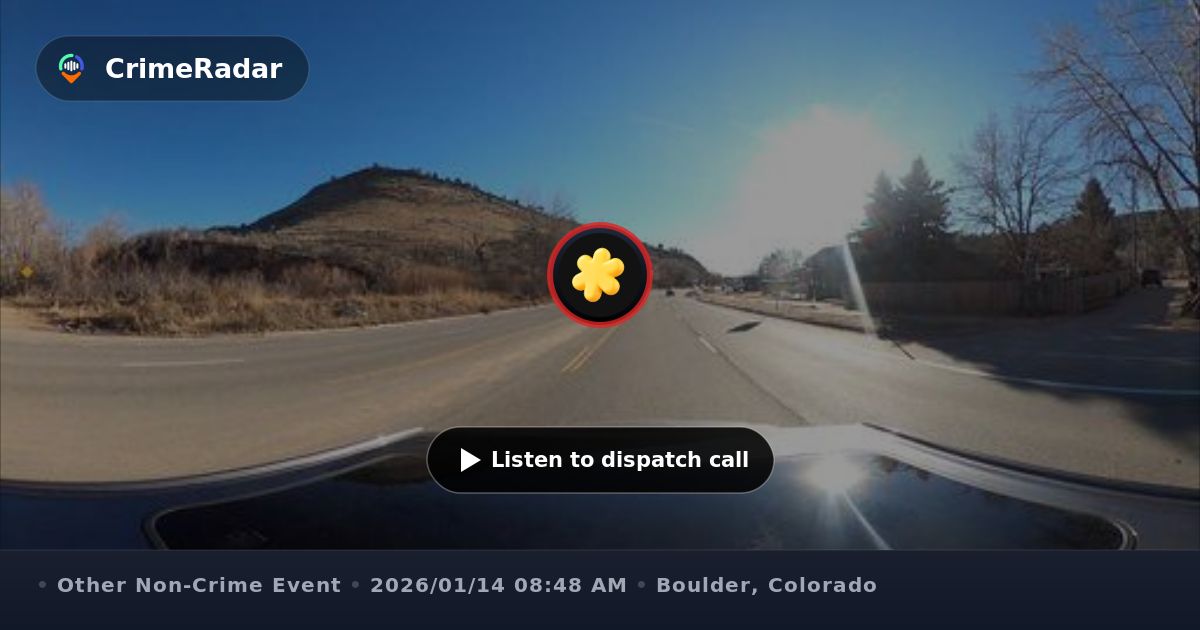 Animal control called for injured turkey near Ute Hwy, Boulder County ...