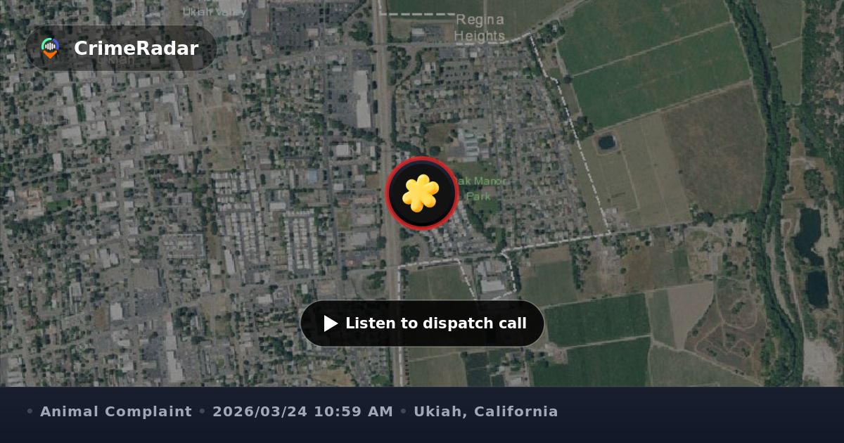 Loose dogs reported at Orchard Park, Ukiah CA | CrimeRadar