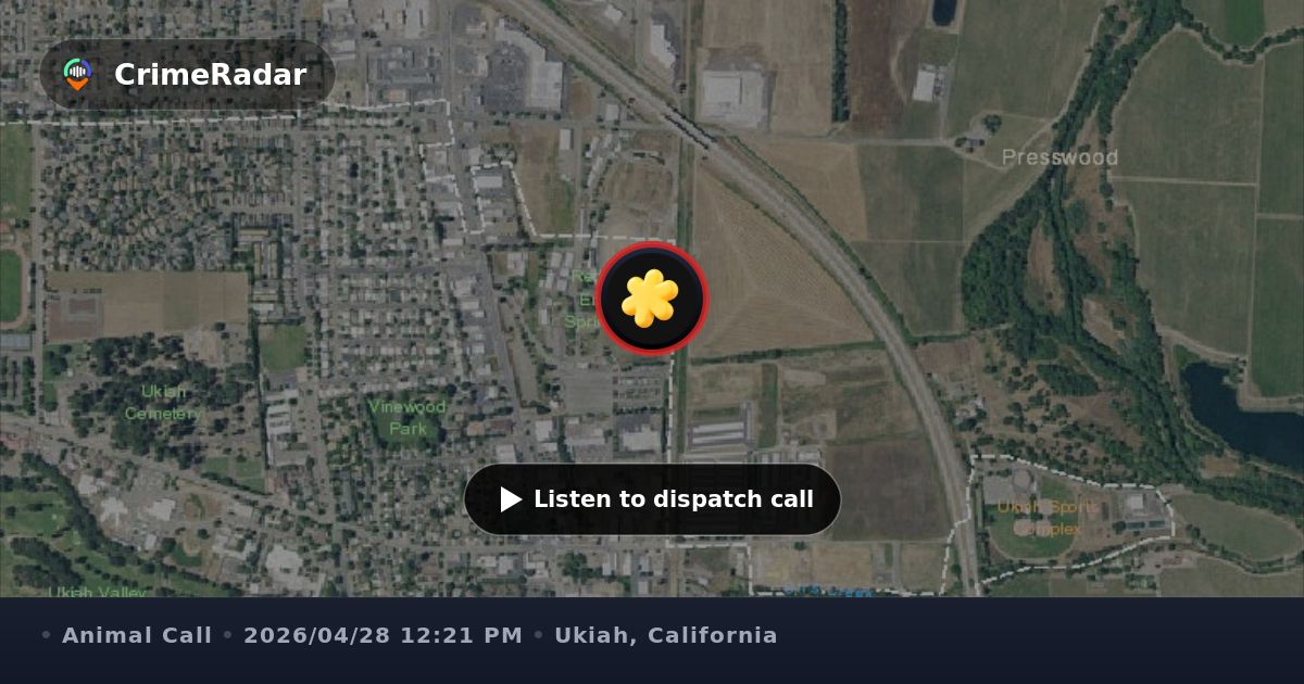 Injured cat hiding under car after being hit, Ukiah CA | CrimeRadar