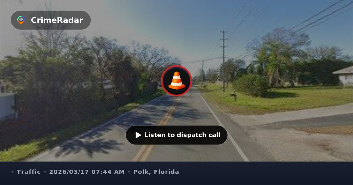 Single car crash involving gray Audi on Reynolds Road, Polk County FL ...