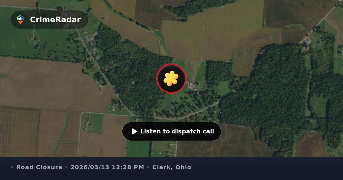 Large tree blocking curve at Moorfield and Hodge, Clark County OH ...