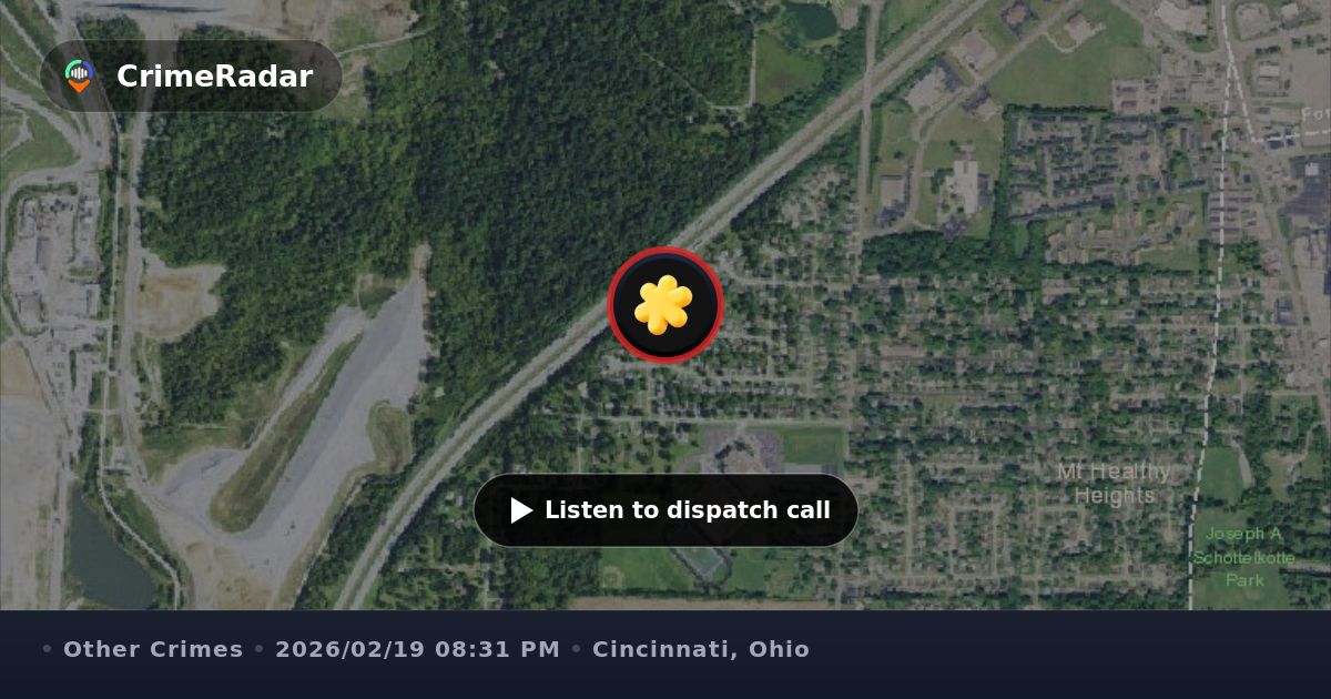 Tree down on pole causes power outage, Cincinnati OH | CrimeRadar