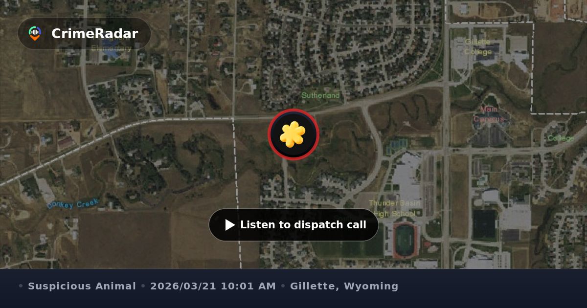 Loose dog reported on Lexington Avenue, Gillette WY | CrimeRadar