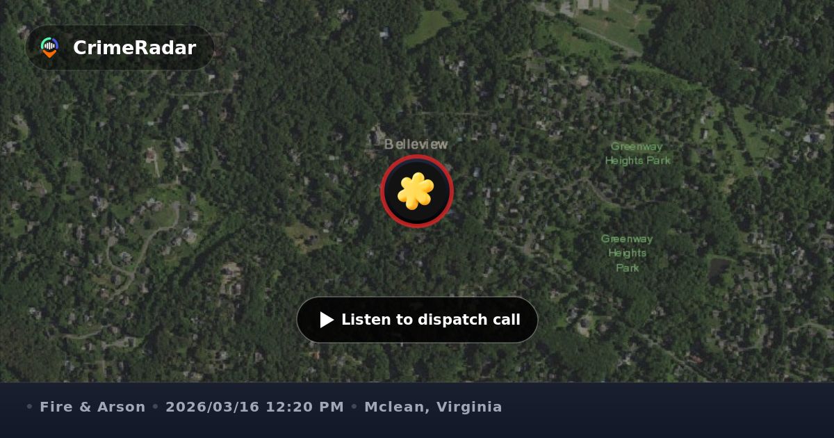 Tree on fire from electrical wire in McLean, Mclean VA | CrimeRadar