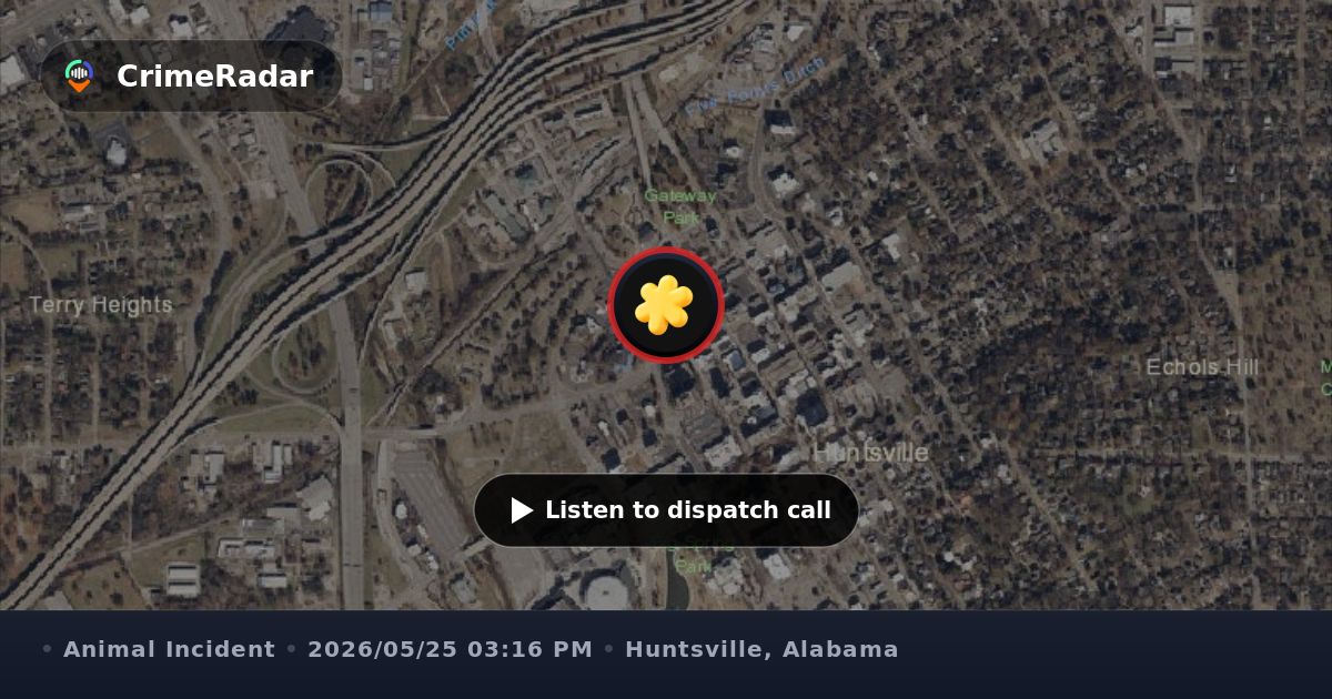 Injured duck reported at pizza parlor, Huntsville AL | CrimeRadar