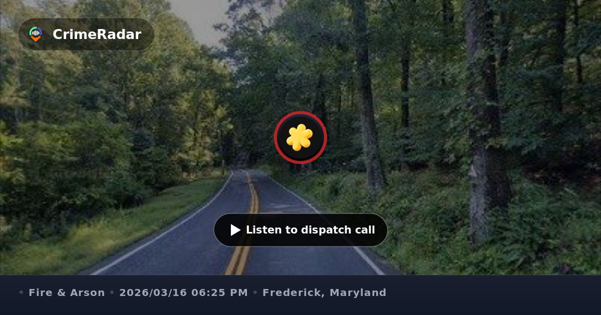 Downed power line sets roadway on fire, Frederick County MD | CrimeRadar