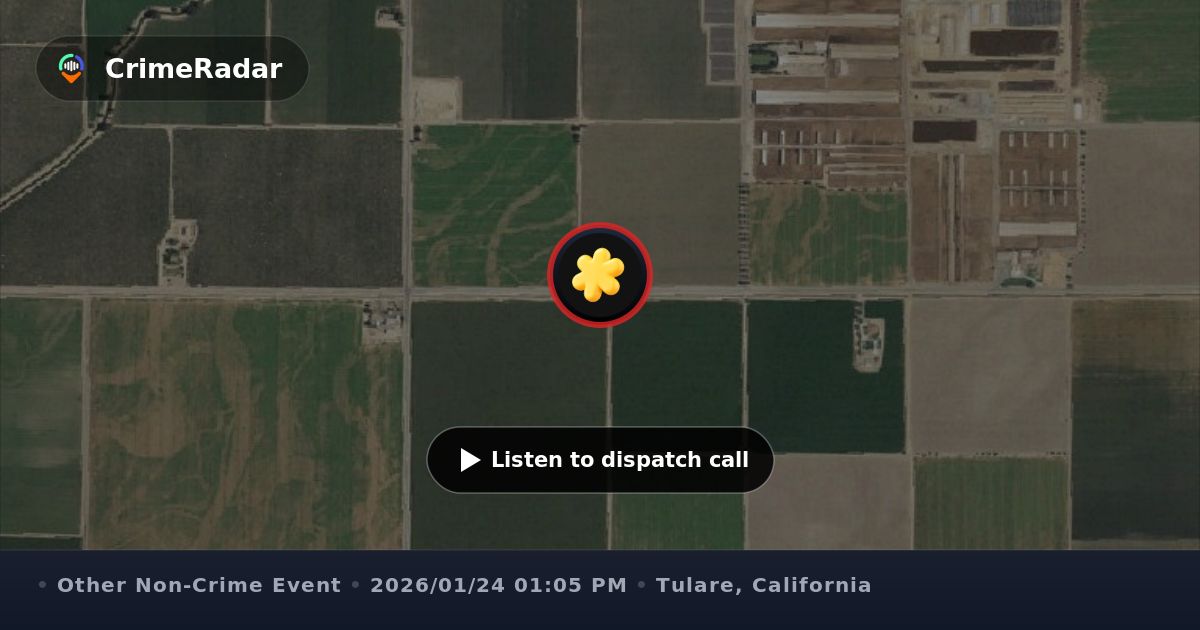 Deputies monitor livestock near Road 68, Tulare County CA | CrimeRadar