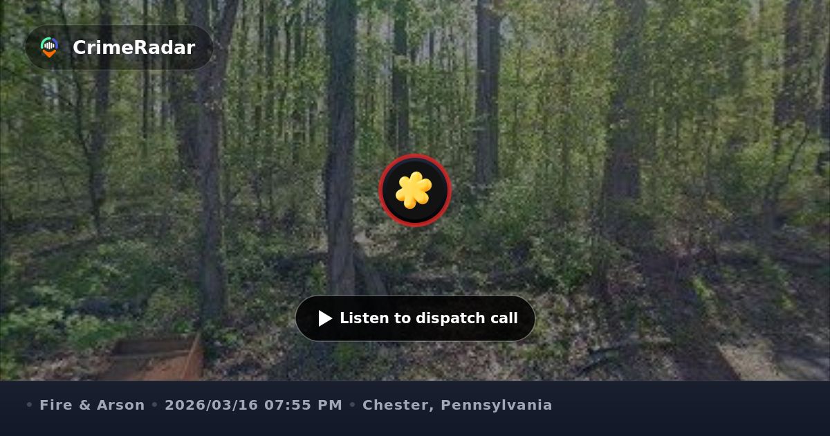 Propane leak from damaged tank after tree strike, Chester County PA ...