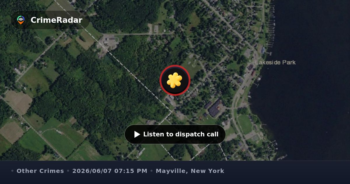 Officer takes suspect into custody on Barnes Street, Mayville NY ...