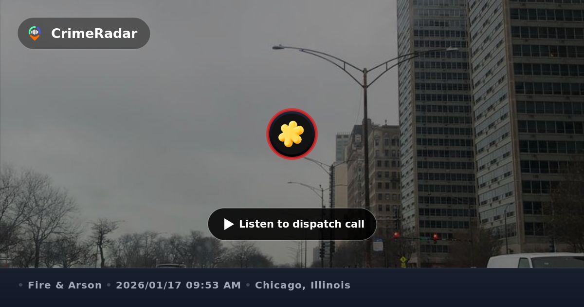 Faulty alarm triggers fire response near Lake Shore Dr, Chicago IL ...