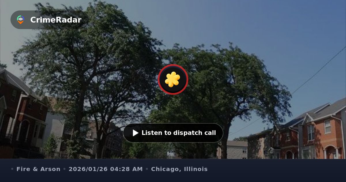 Fire crew finds no issues on Cornell Ave, Chicago IL | CrimeRadar