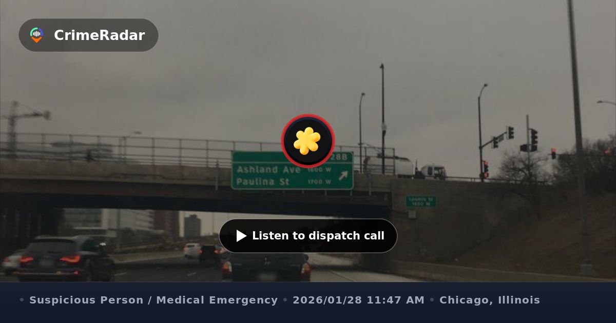 Train service halted for person on Blue Line tracks, Chicago IL ...