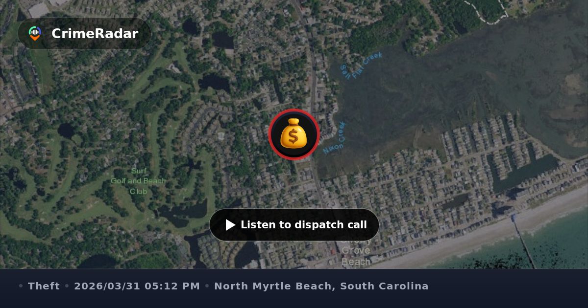 Shoplifting suspect flees in black SUV near Food Lion, North Myrtle ...