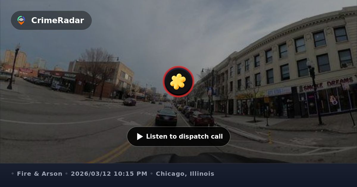 Fire alarm activation at Wilson Red Line station, Chicago IL | CrimeRadar
