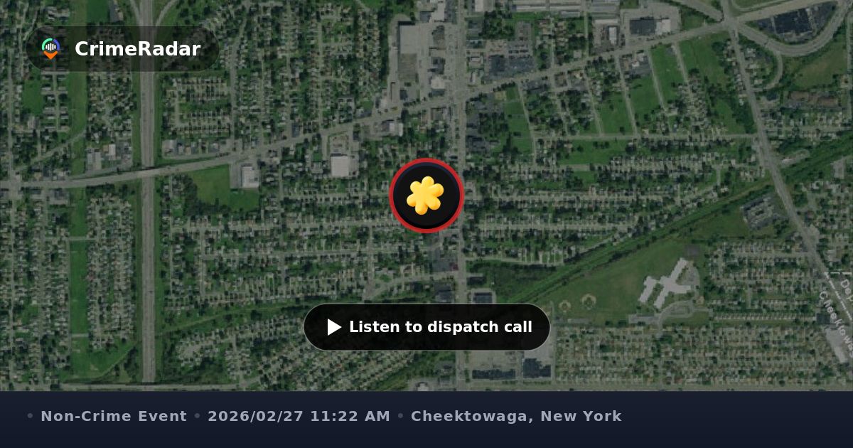 Child responsible for 911 hang-up at auto shop, Cheektowaga NY | CrimeRadar