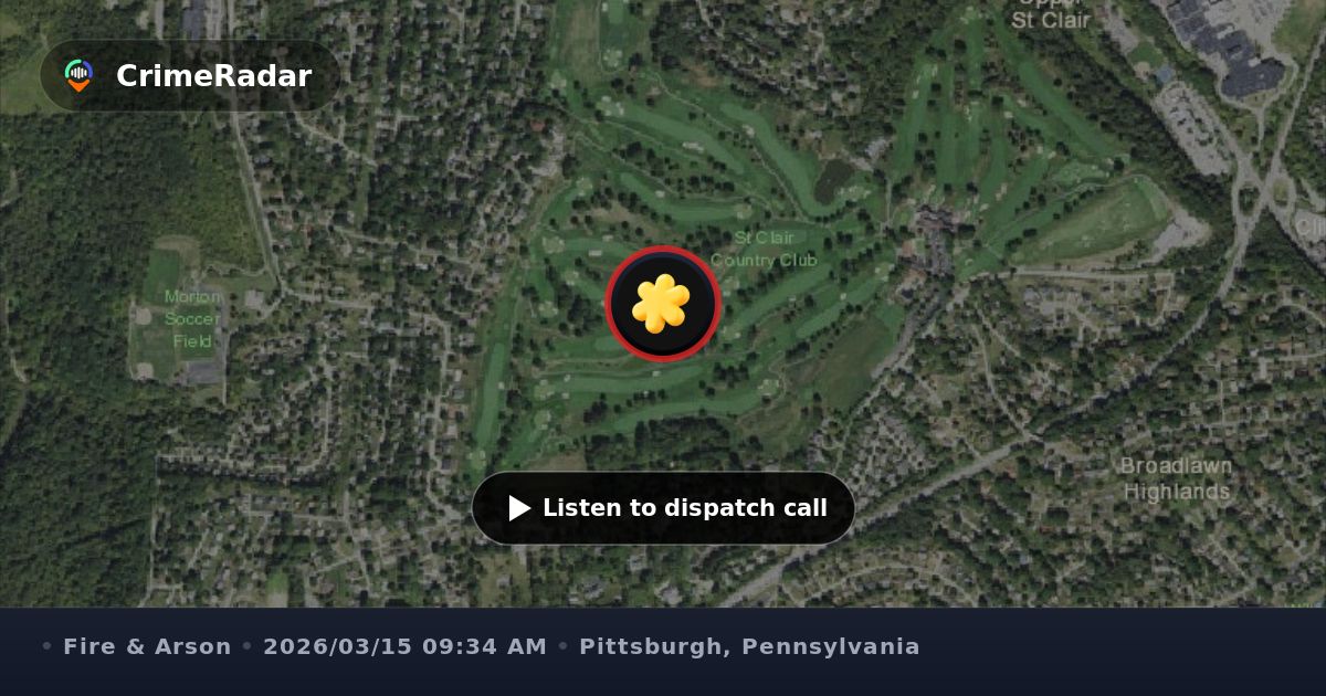Tree on power line causing transformer sparking, Pittsburgh PA | CrimeRadar