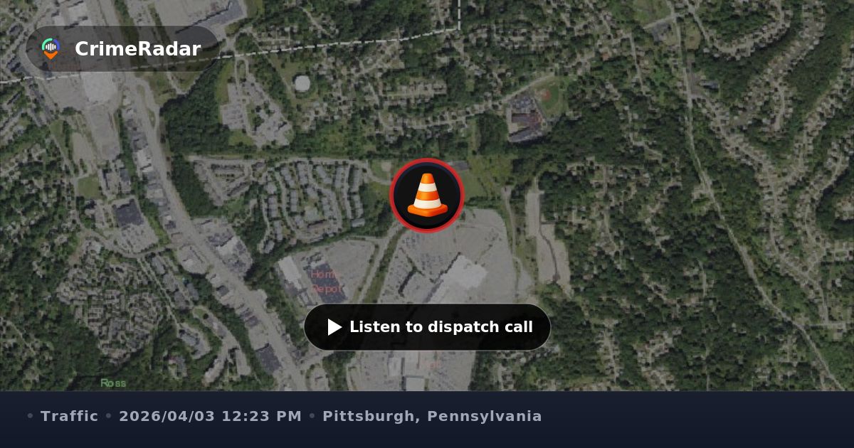 Hit and run outside clothing store on Walnut, Pittsburgh PA | CrimeRadar