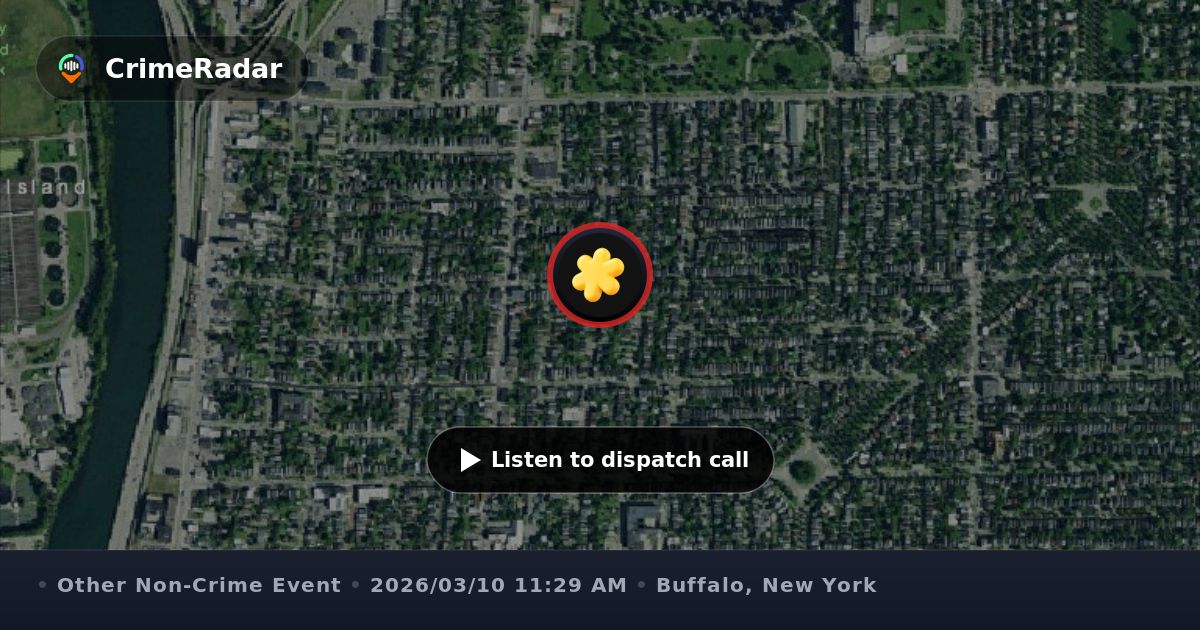 Loose dog being held at Dorchester address, Buffalo NY | CrimeRadar